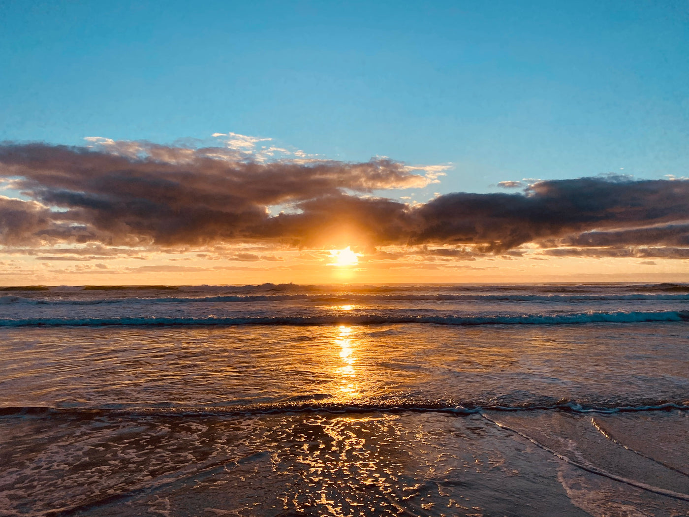 Our Story – LILLY PILLY COLLECTION